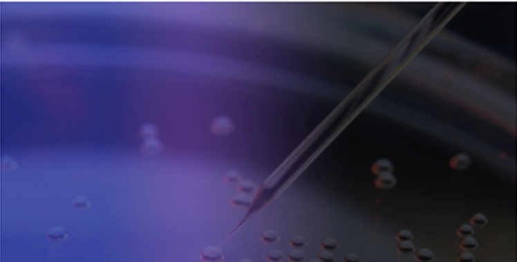 Pretreated PDX Models